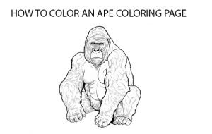 How To Color An Ape Coloring Page - Funcolouring